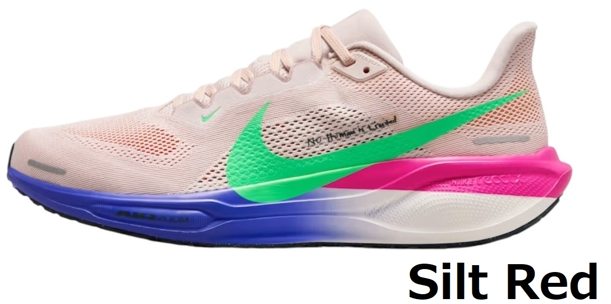 NIKE（ナイキ） スニーカー エア ズーム ペガサス41 SE メンズ