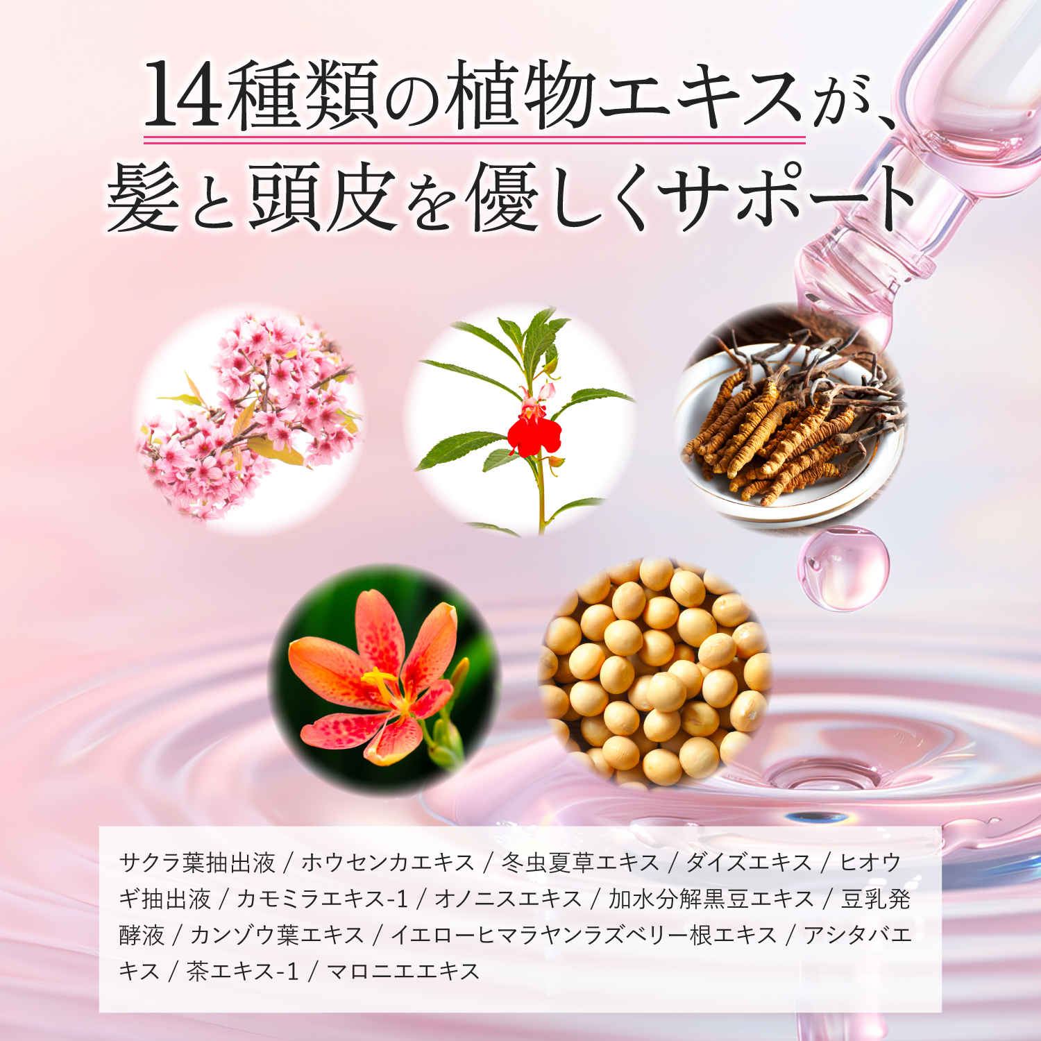 ハツモール ビューティ L 180ml 育毛剤 女性用 発毛 細毛 レディース 男女兼用 2本セット : TWO TREE - 通販 - Yahoo!ショッピング