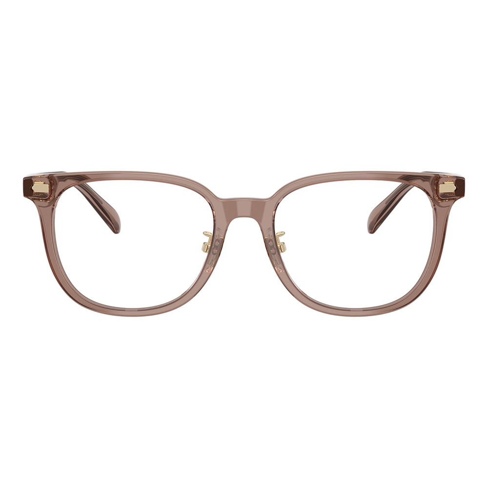 COACH コーチ メガネフレーム HC6269D 5819 53 スクエア セル アジアンフィット メンズ : ワッツアップ - 通販 - Yahoo!ショッピング