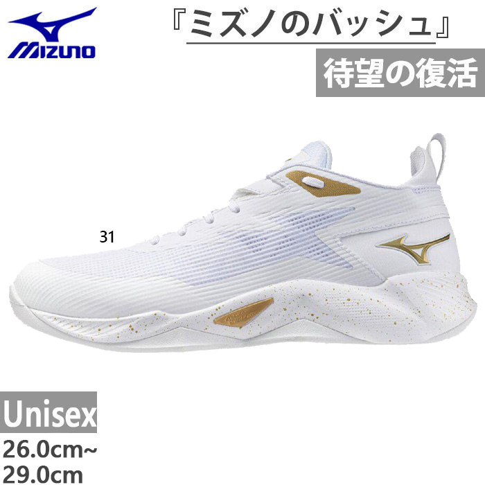 MIZUNO（ミズノ） 2.5E幅相当 メンズ レディース ウエーブトランジスタ