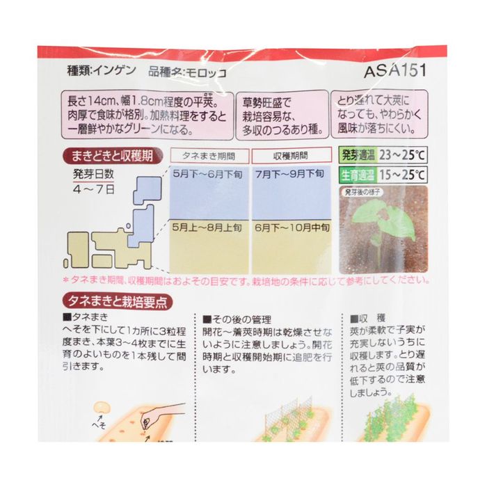 タキイ つるありインゲン モロッコ 25ml - ビバホーム : ビバホーム オンライン ヤフー店 - 通販 - Yahoo!ショッピング