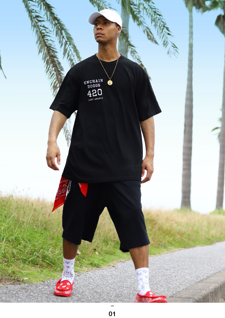 ACE FLAG 上下セット 半袖 ブランド Tシャツ ハーフパンツ メンズ 全4