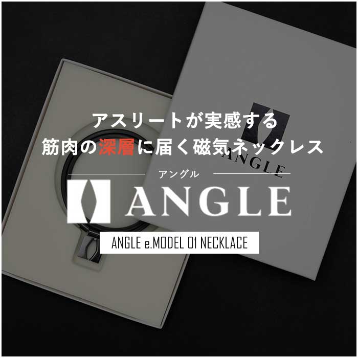 アングル ANGLE AE01N e.MODEL 01 NECKLACE 磁気ネックレス 医療機器認証 : ゴルフショップ ウィザード - 通販 - Yahoo!ショッピング