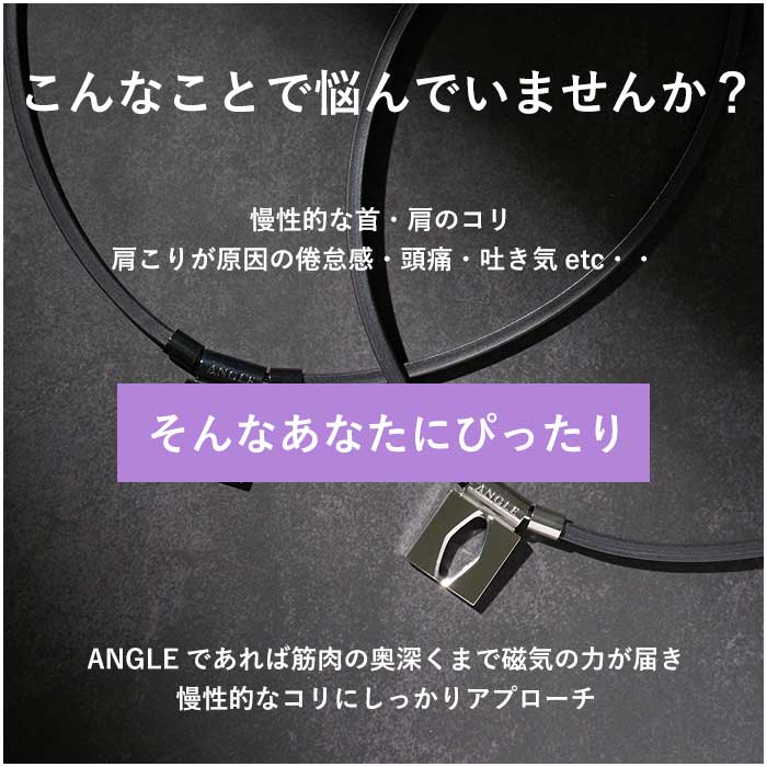 アングル ANGLE AE01N e.MODEL 01 NECKLACE 磁気ネックレス 医療機器認証 :ANG-AE01N:ゴルフショップ ウィザード - 通販 - Yahoo!ショッピング