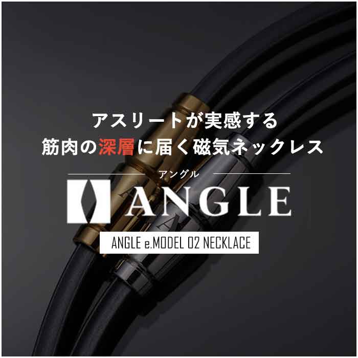 アングル ANGLE AE02N e.MODEL 02 NECKLACE 磁気ネックレス 肩こり 医療機器 : ゴルフショップ ウィザード - 通販 - Yahoo!ショッピング