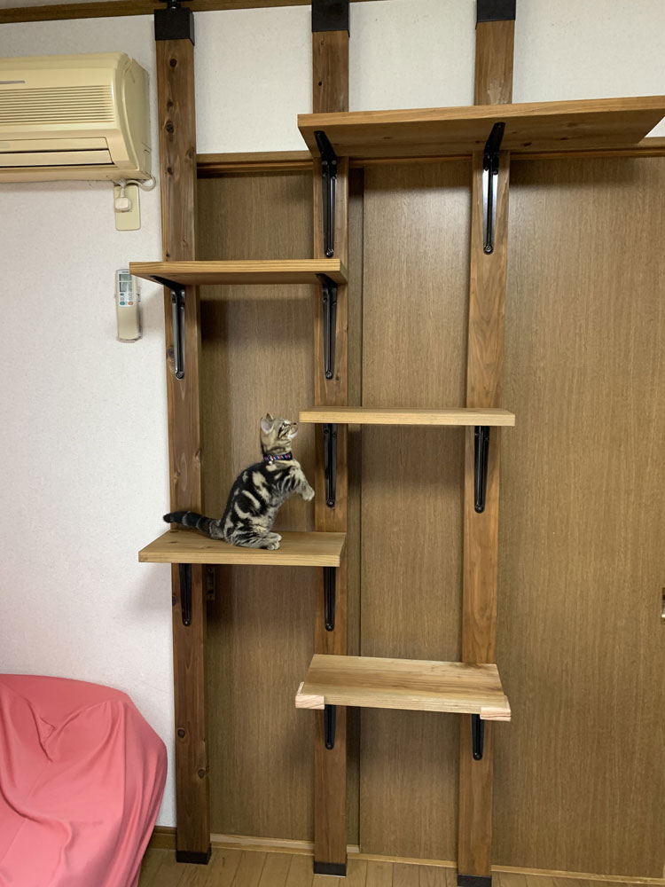 DIY素材【WOODPRO Yahoo!】